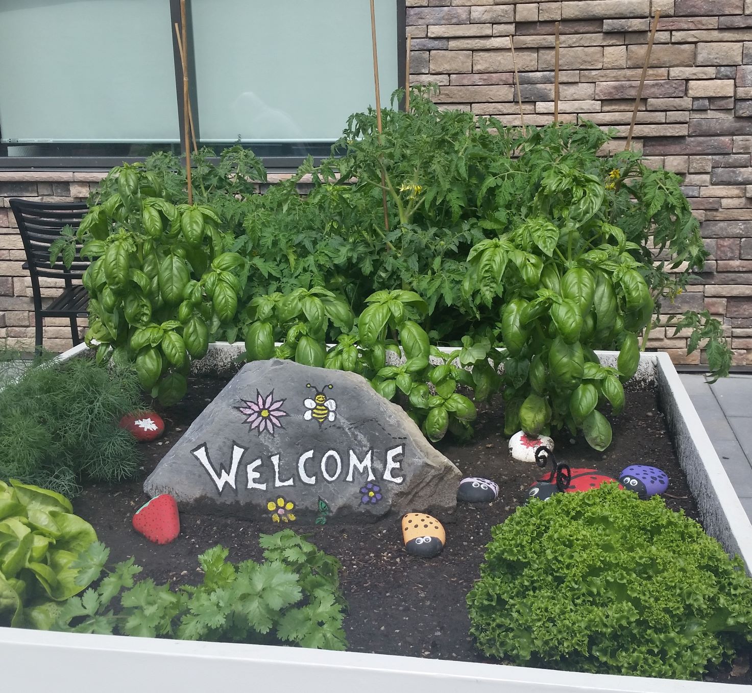 Welcome Rock - Prominence Way